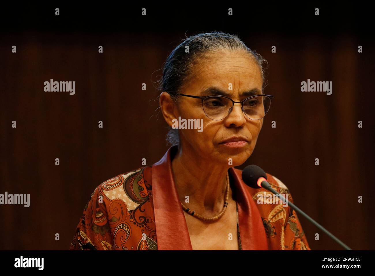 Portrait of Marina Silva the brazilian Minister of the Environment and ...