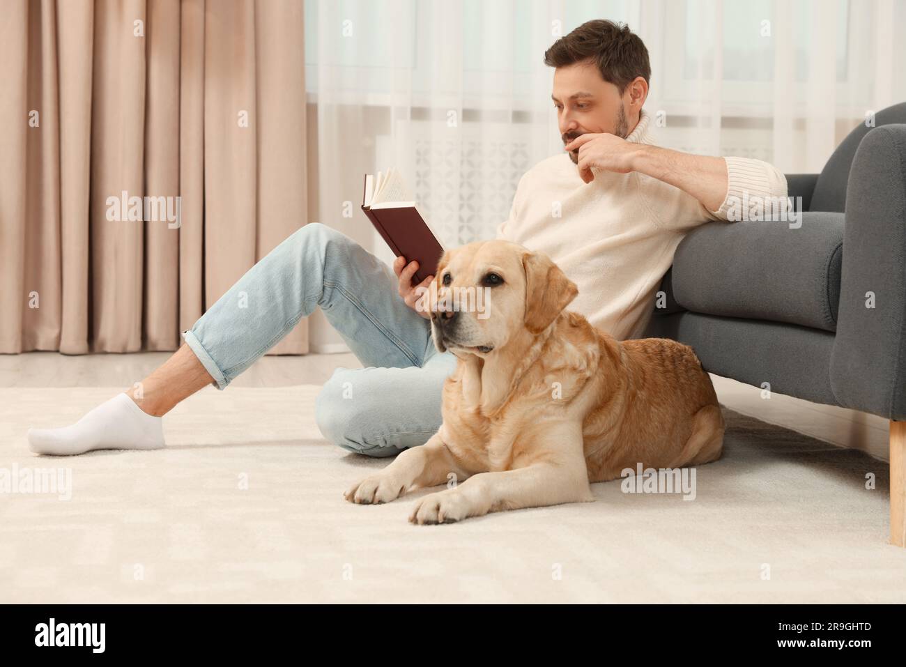 Labrador reading hi-res stock photography and images - Alamy