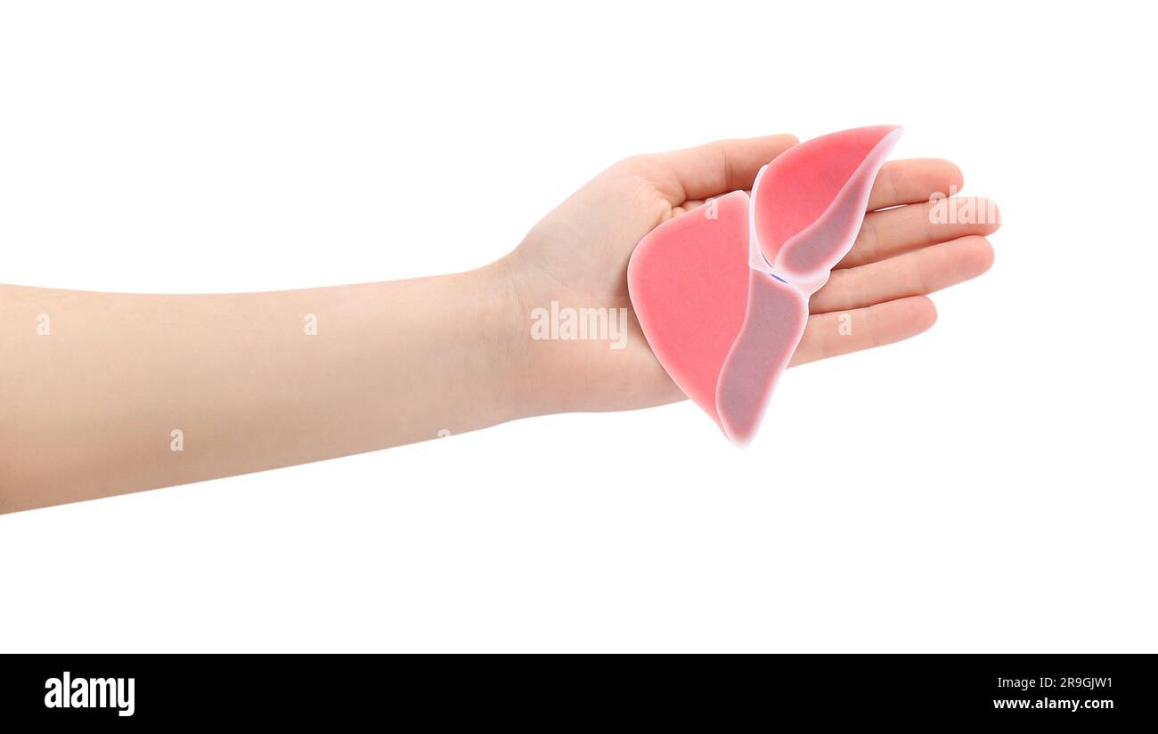 Woman holding paper liver on white background, closeup and top view ...