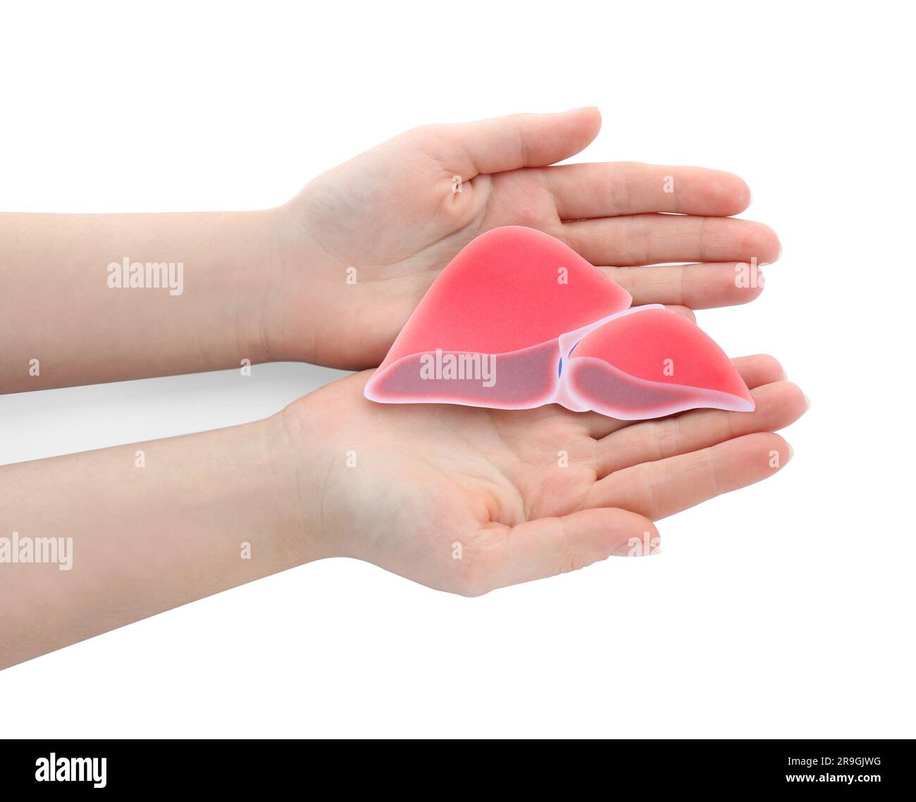 Woman holding paper liver on white background, closeup and top view ...