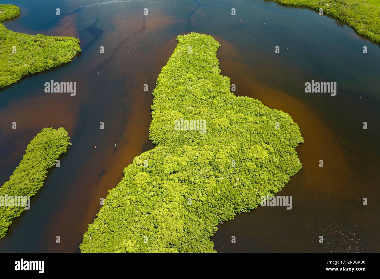 View from above of Florida everglades with green vegetation between ...