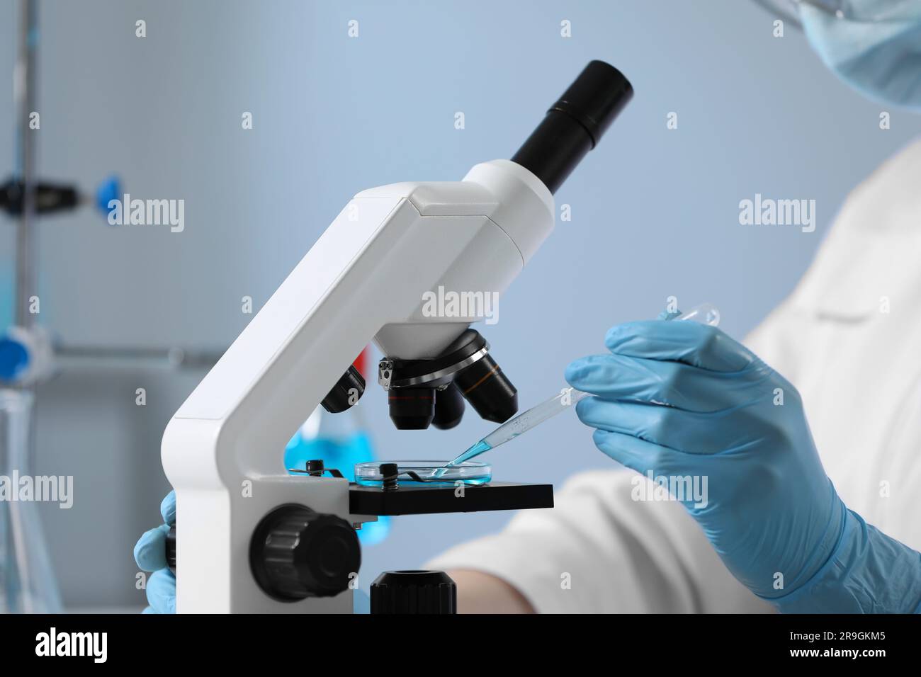 Scientist dripping sample onto Petri dish while working with microscope ...