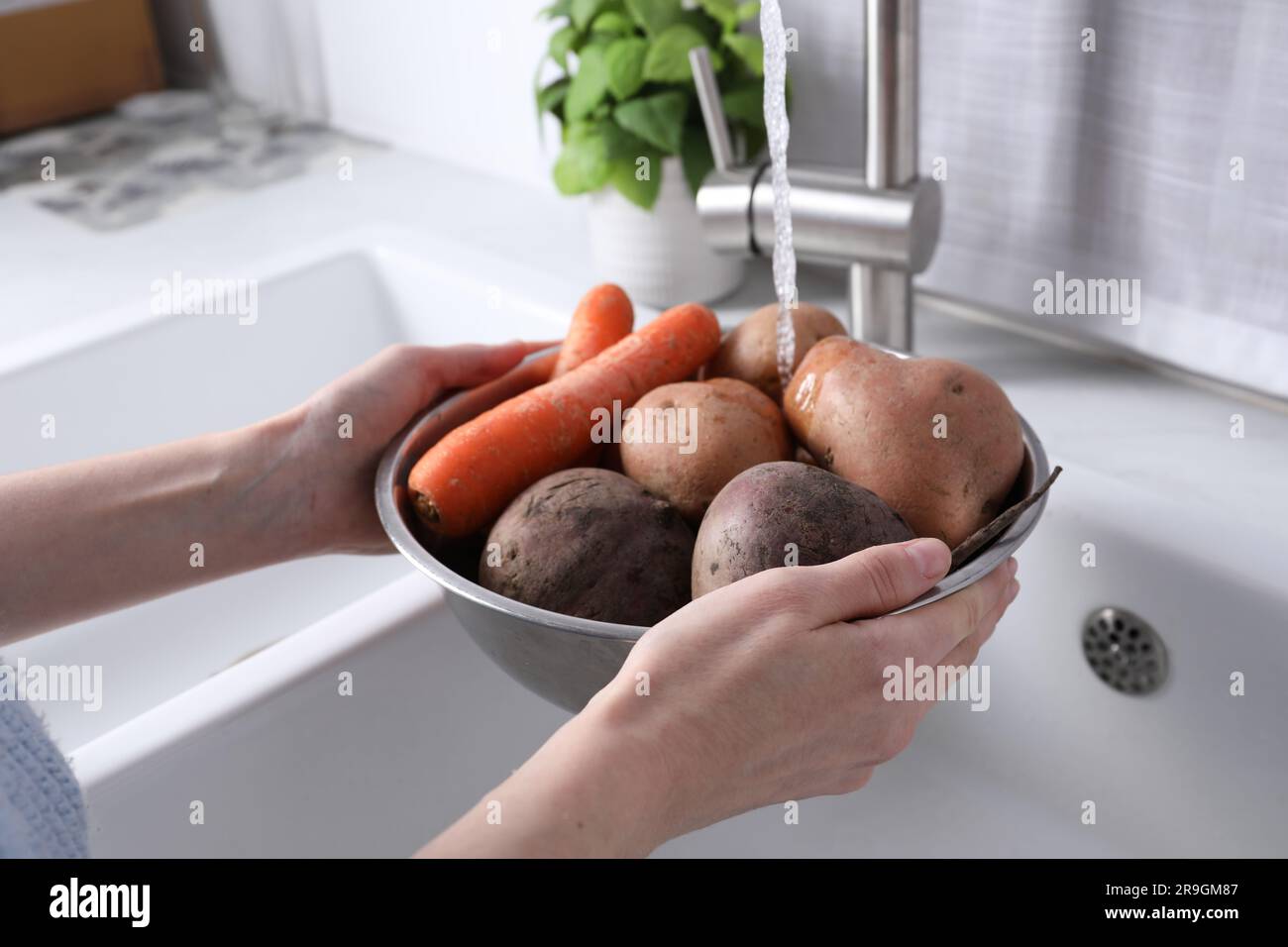 Woman washing fresh vegetables in kitchen sink, closeup. Cooking vinaigrette salad Stock Photo ...