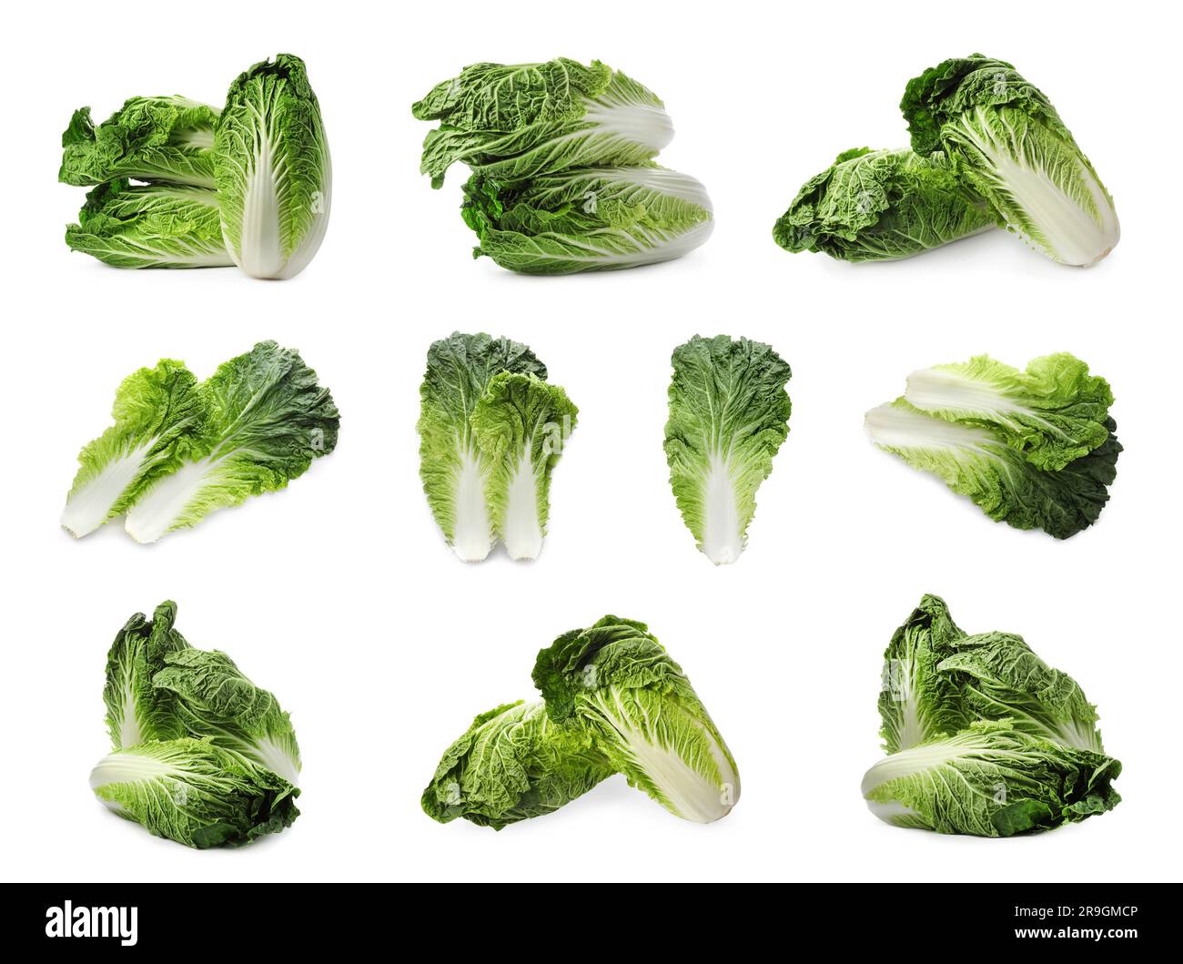 Collage with fresh Chinese cabbages and leaves on white background ...