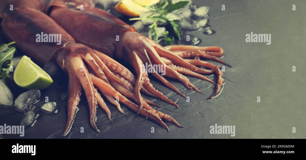 Fresh squids, slices of lemon and lime, arugula and ice cubes on grey ...