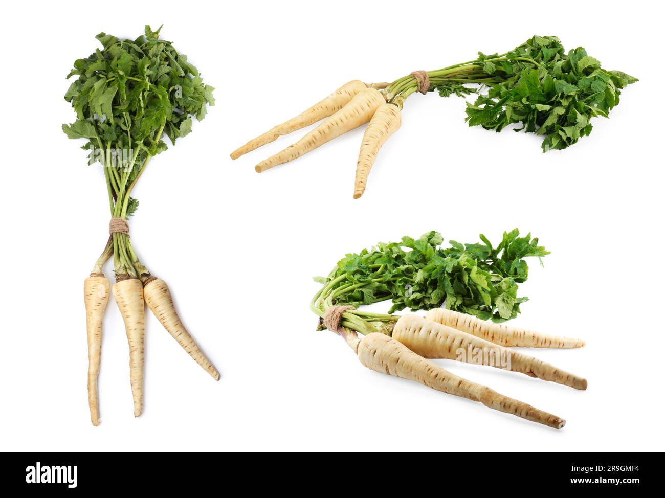 Collage with fresh parsnips on white background Stock Photo - Alamy