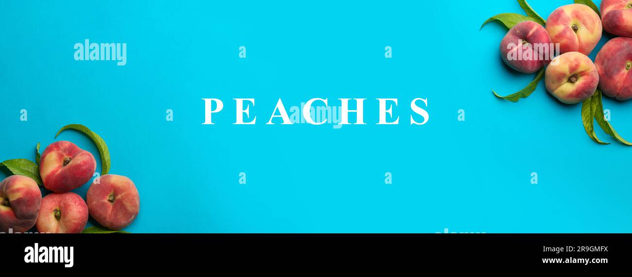 Fresh flat peaches on light blue background, top view. Banner design ...