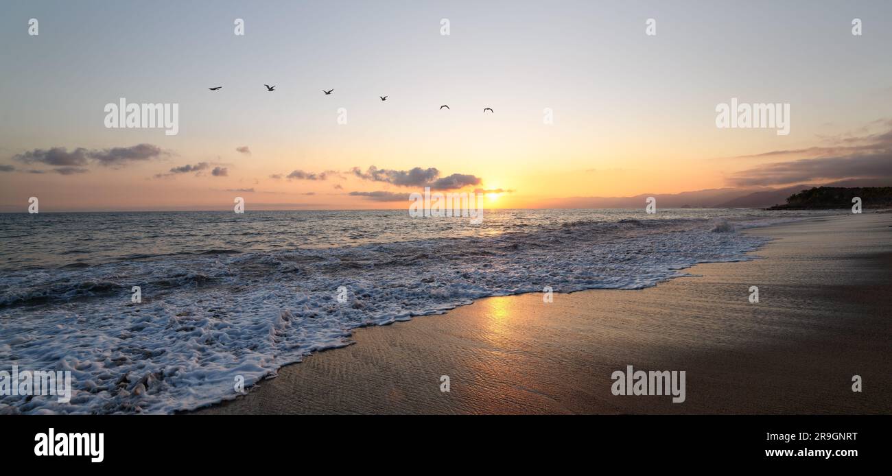A Colorful Orange Ocean Sunset With A Flock Of Birds Flying On The ...