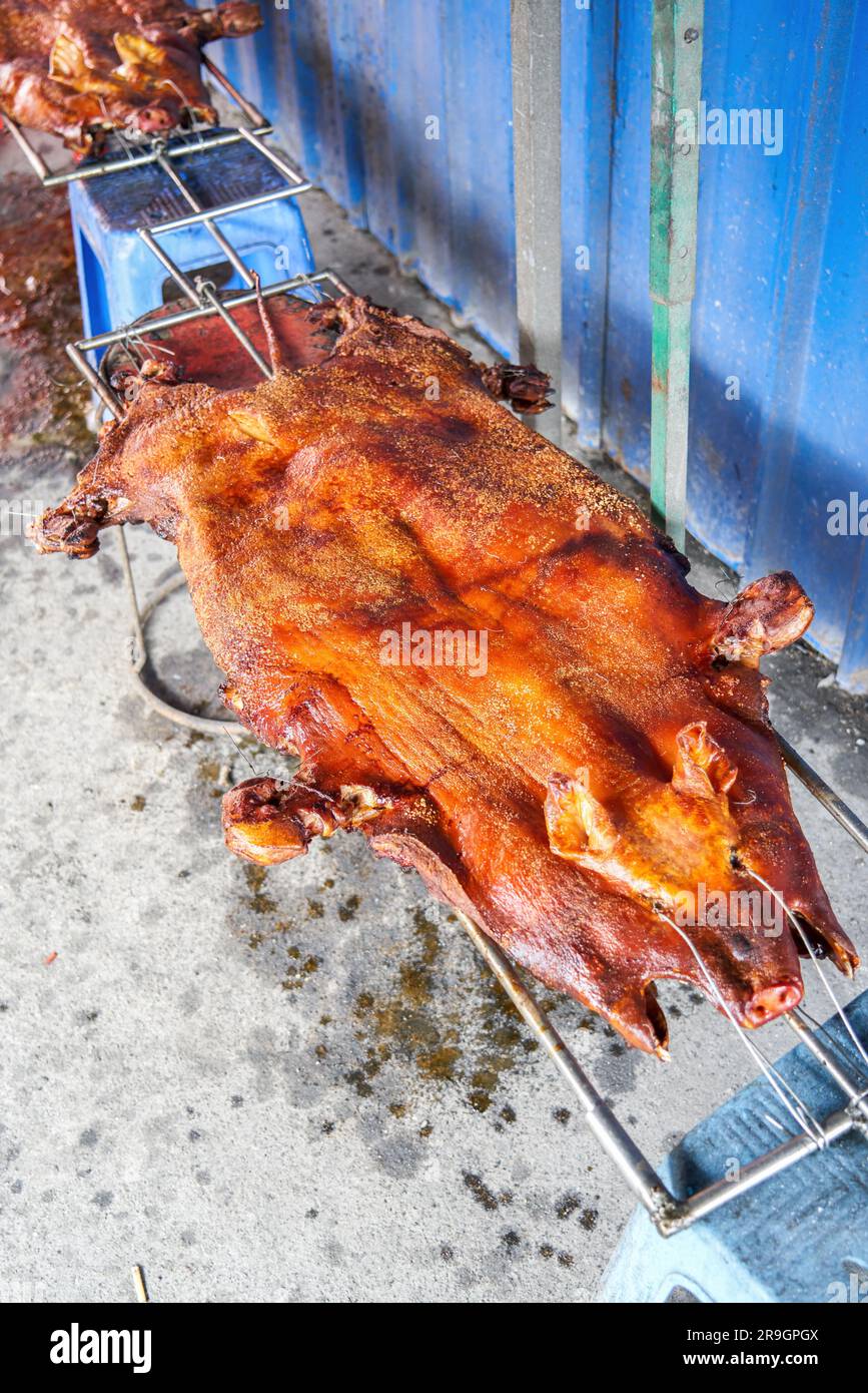 Freshly baked crispy suckling pork, a whole pig with crispy skin Stock ...