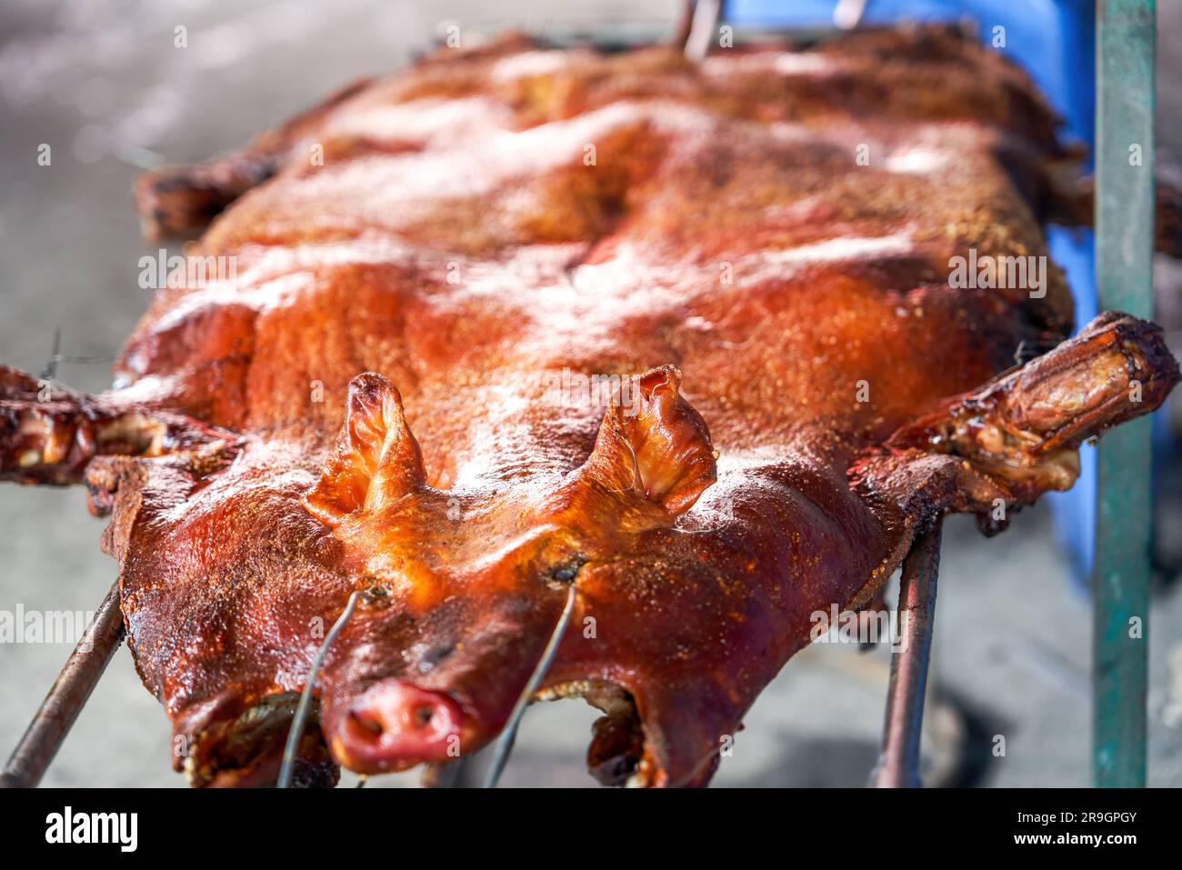 Freshly baked crispy suckling pork, a whole pig with crispy skin Stock ...