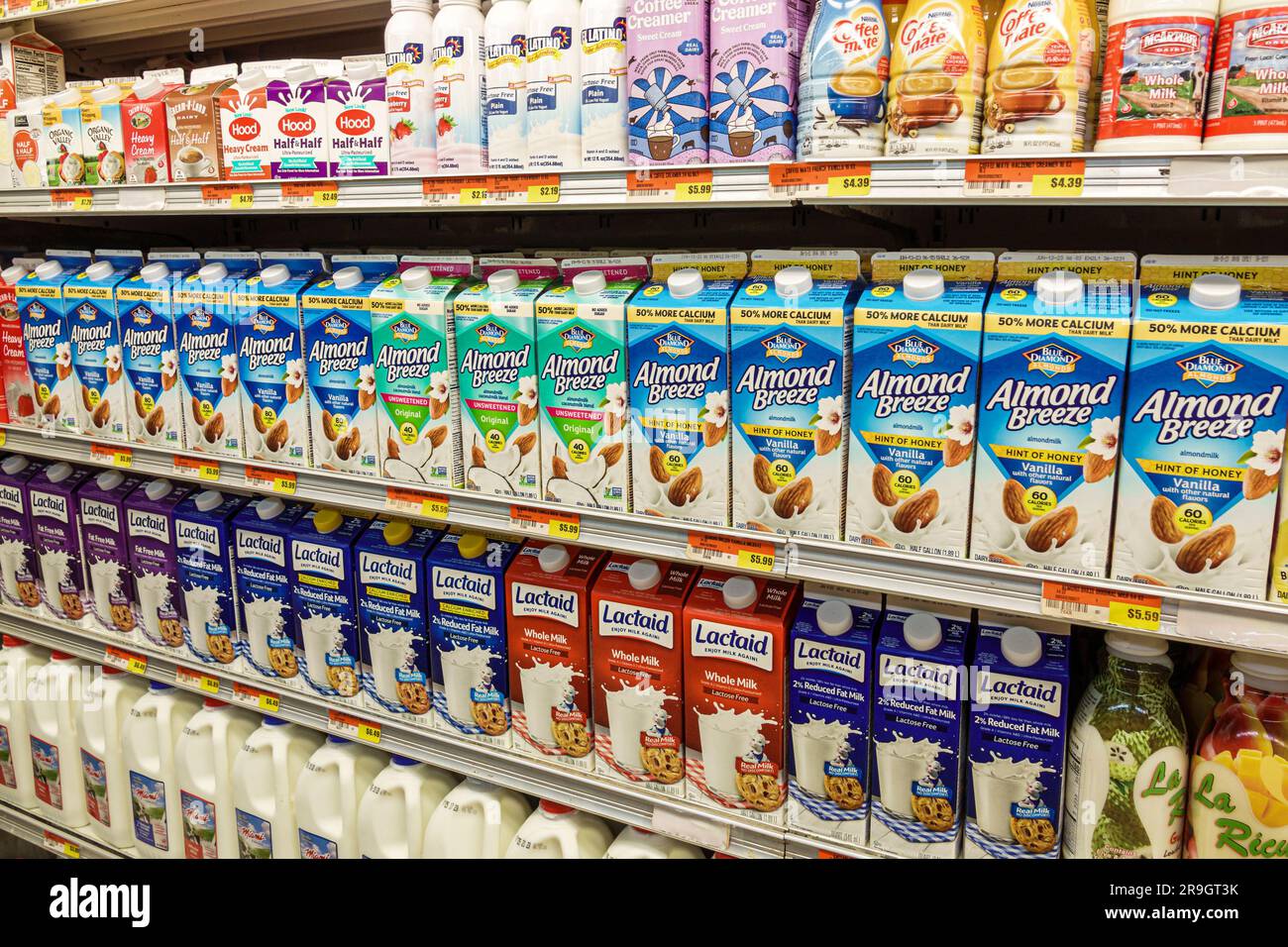 Miami Beach Florida,North Beach Collins Avenue,M & L Food Market ...