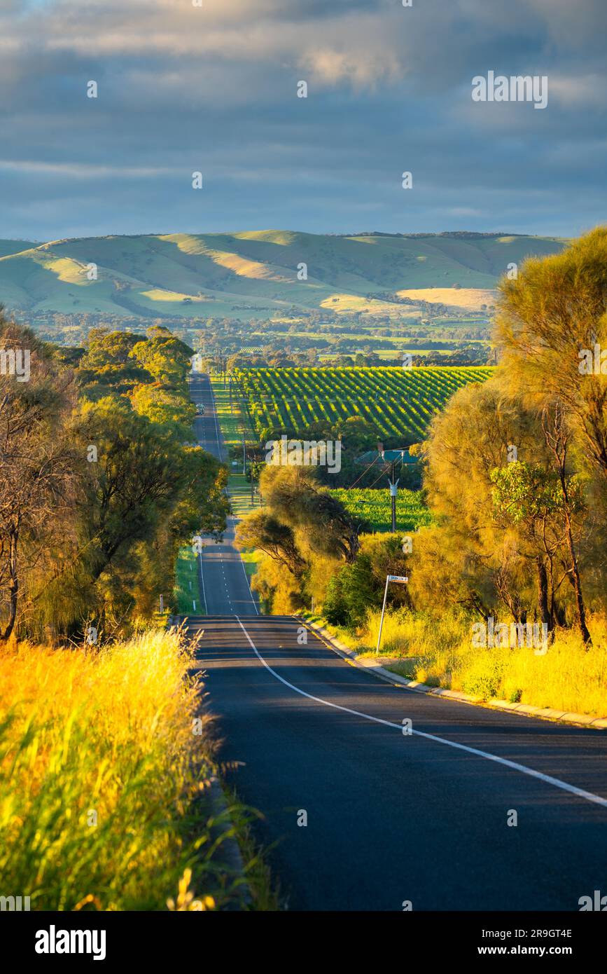 Mclaren vale australia road hi-res stock photography and images - Alamy