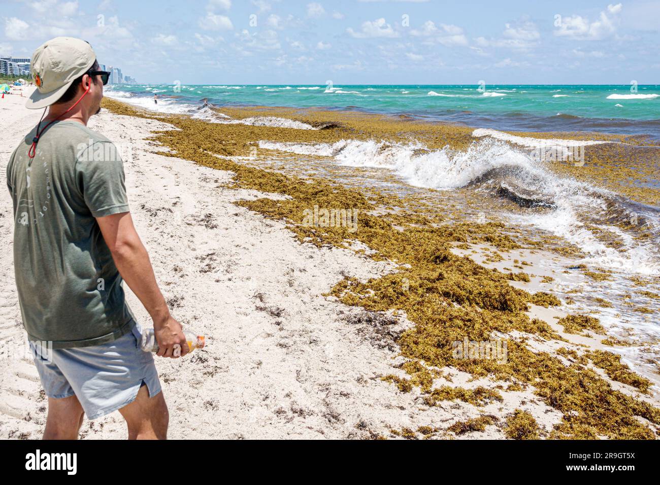 Miami Beach Florida,North Beach Atlantic Ocean shoreline,large quantity ...