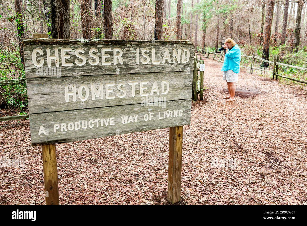 Folkston Georgia,Okefenokee National Wildlife Refuge swamp,Chesser ...