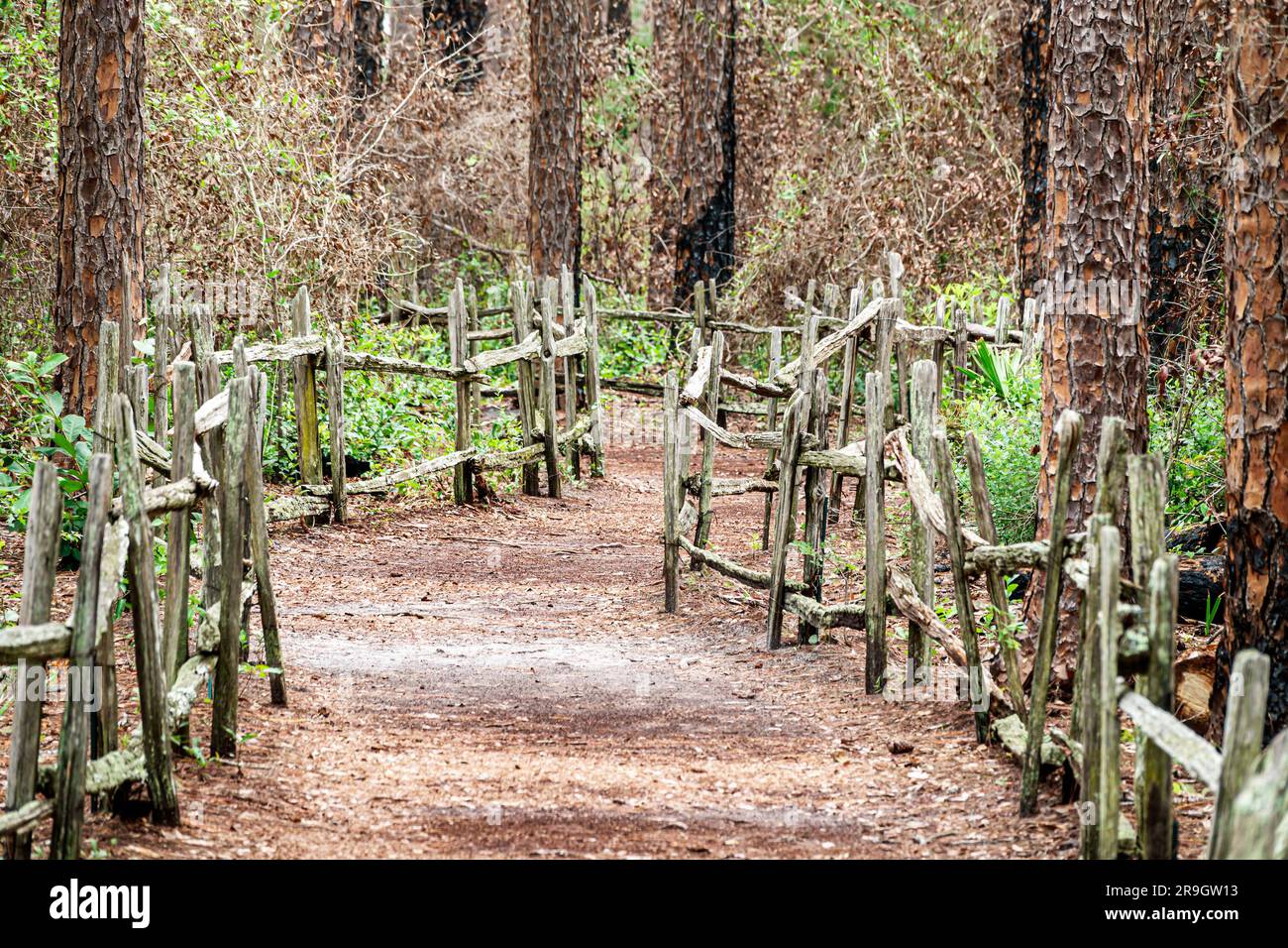 Folkston Georgia,Okefenokee National Wildlife Refuge swamp,Chesser ...