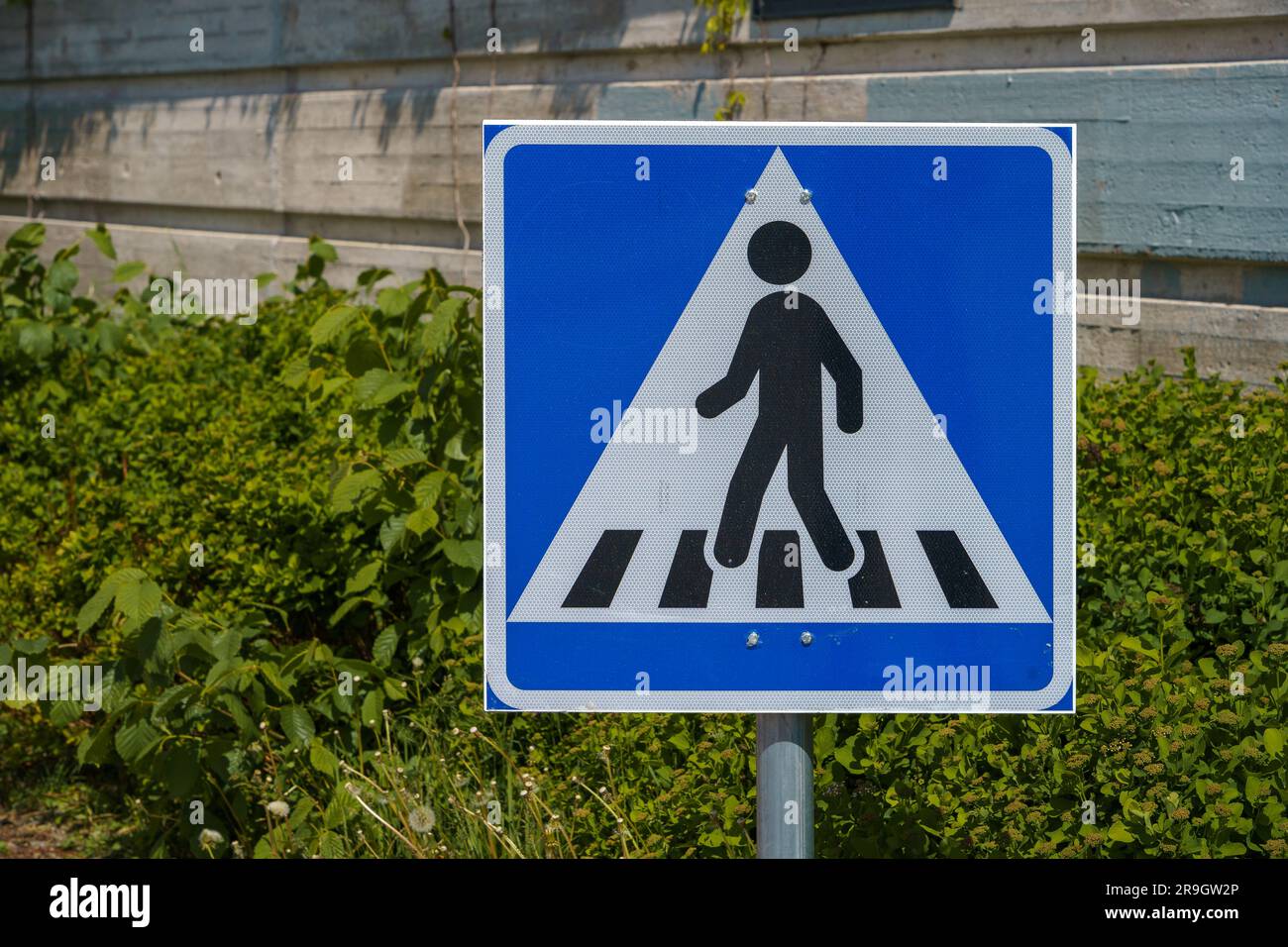 Pedestrian crossing sign in summer with green bushes and a concrete ...