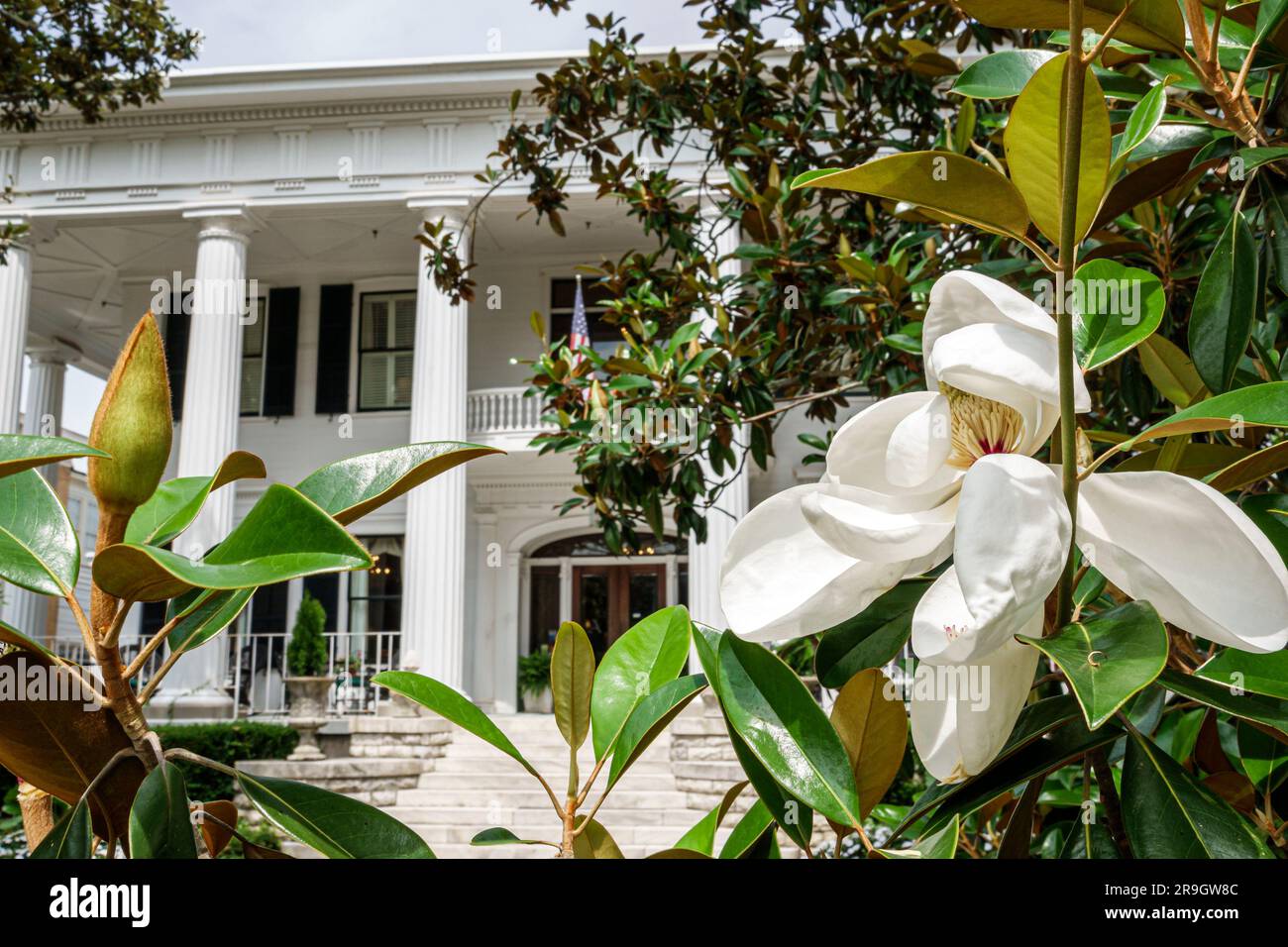 Macon Georgia,College Street,InTown Macon district,house home mansion ...