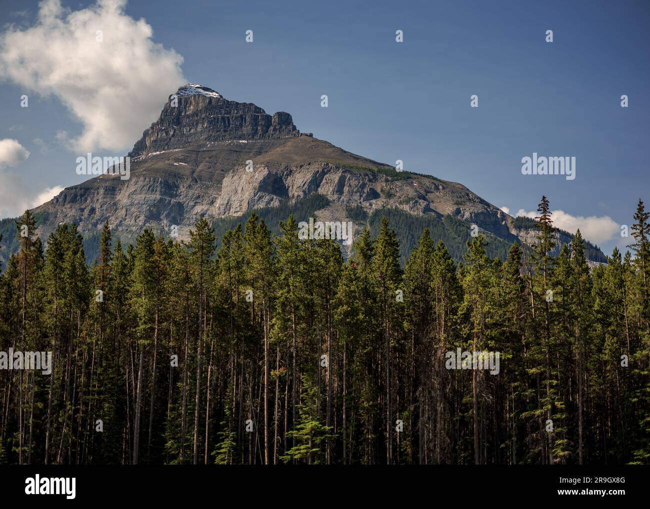The Castle Mountain Range, part of the Canadian Rocky Mountains in ...