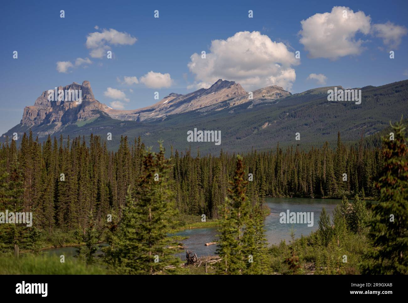 The Castle Mountain Range, part of the Canadian Rocky Mountains in ...