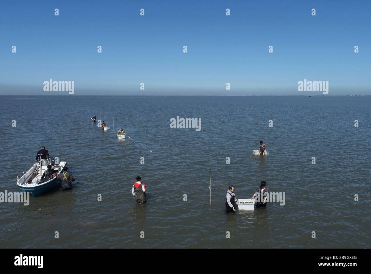 Nearshore ecosystem hi-res stock photography and images - Alamy