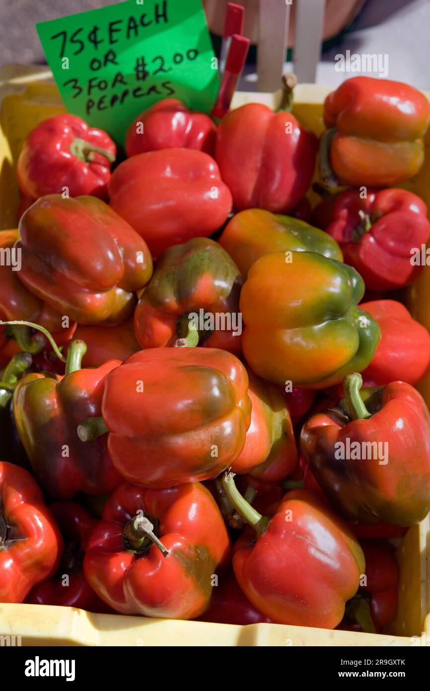 Bell peppers being sold at a farmers market Stock Photo - Alamy