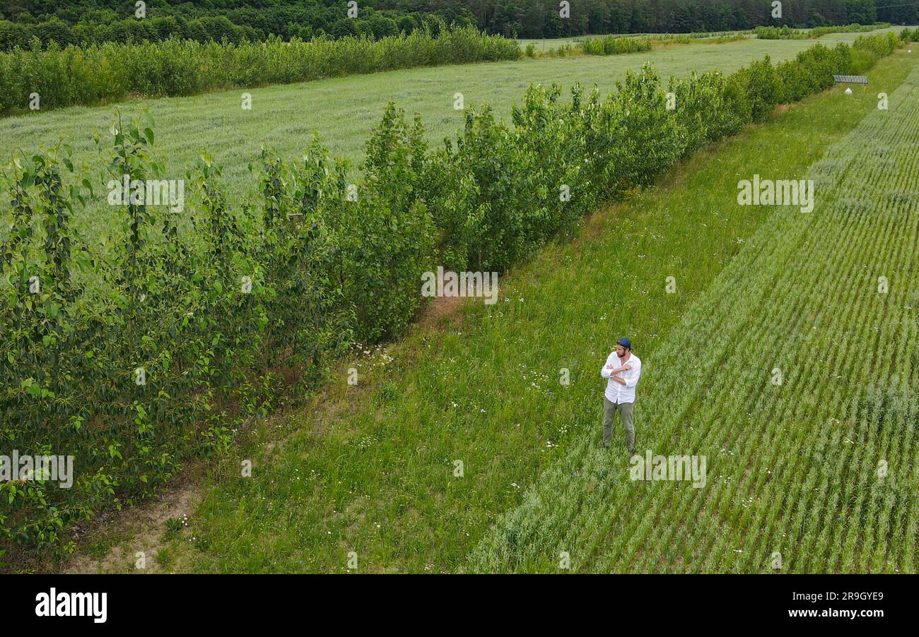 Alt Madlitz, Germany. 22nd June, 2023. Benedikt Bösel, farmer ...