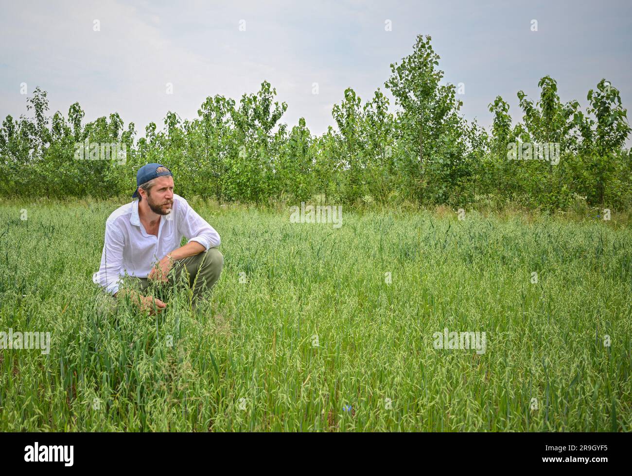 Alt Madlitz, Germany. 22nd June, 2023. Benedikt Bösel, farmer ...