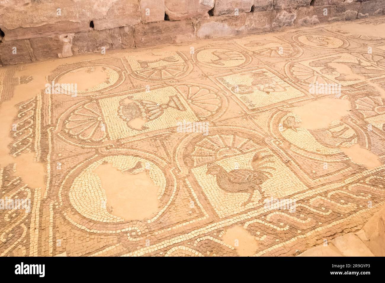 View of mosaics at the magnificent ruins of ancient Petra, located in ...