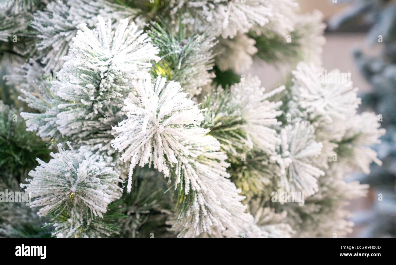 Christmas tree with artificial snow flakes, close up. White christmas ...