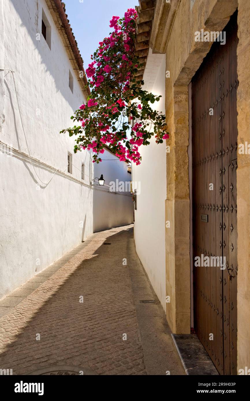 A quiet, charming path through the old quarter in Cordoba Spain Stock ...