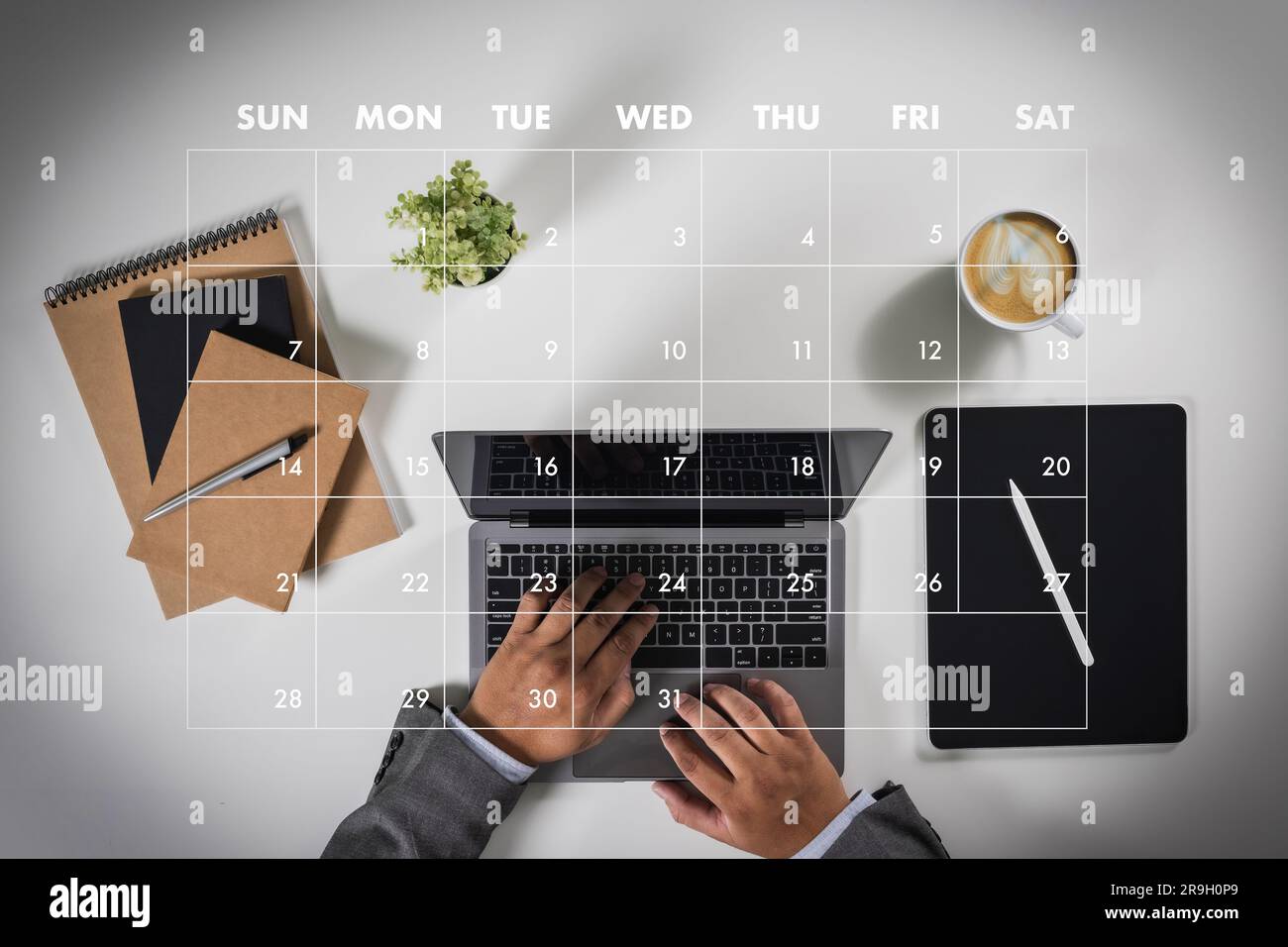Highlight Reminder Appointment for the Calendar and the Organizer's ...