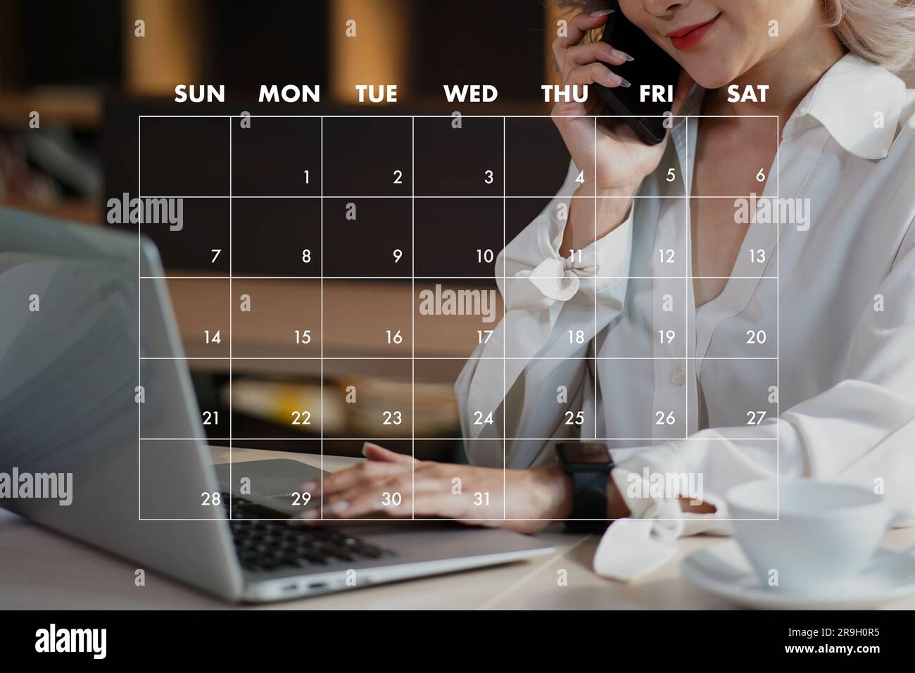 Highlight Reminder Appointment for the Calendar and the Organizer's ...