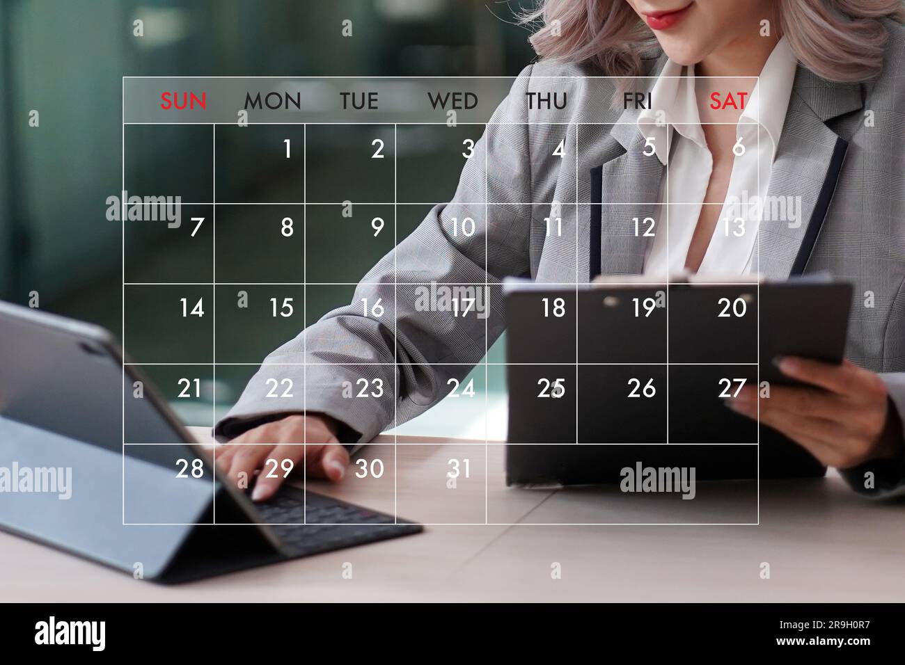 Highlight Reminder Appointment for the Calendar and the Organizer's ...