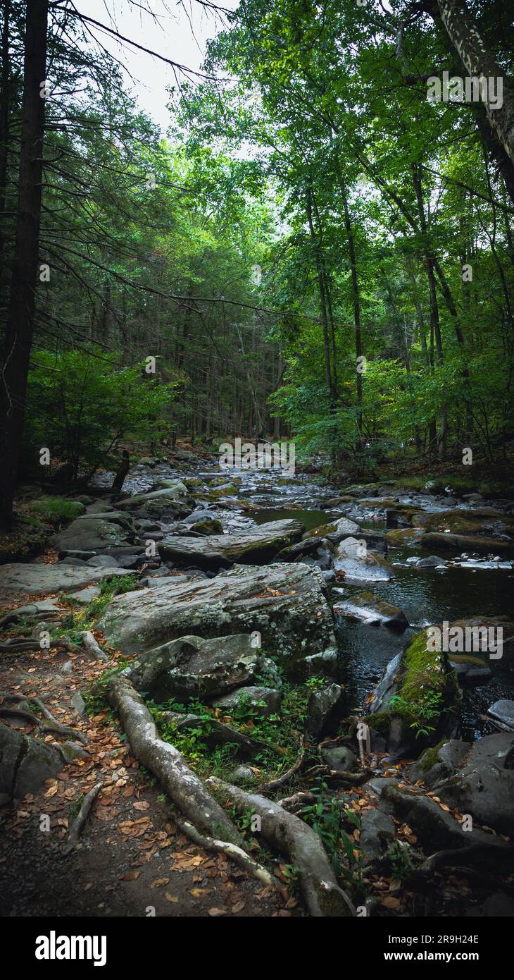 Bushkill falls hi-res stock photography and images - Alamy