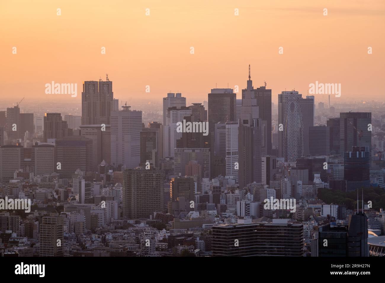 Sunset over Shinjuku skyline in Tokyo in Japan Stock Photo - Alamy