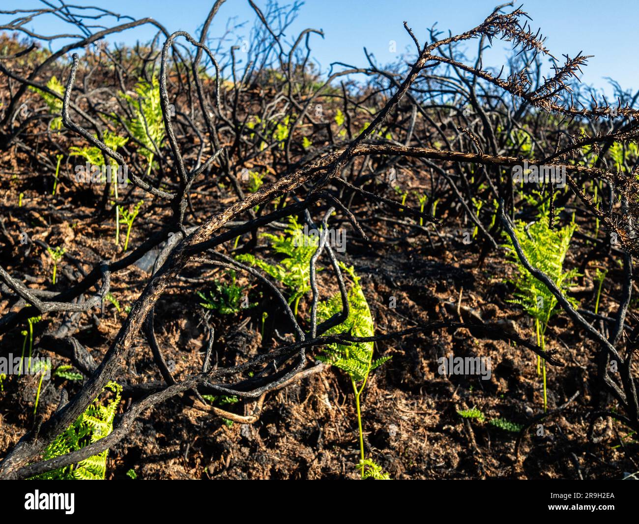 Puerto del palo hi-res stock photography and images - Alamy