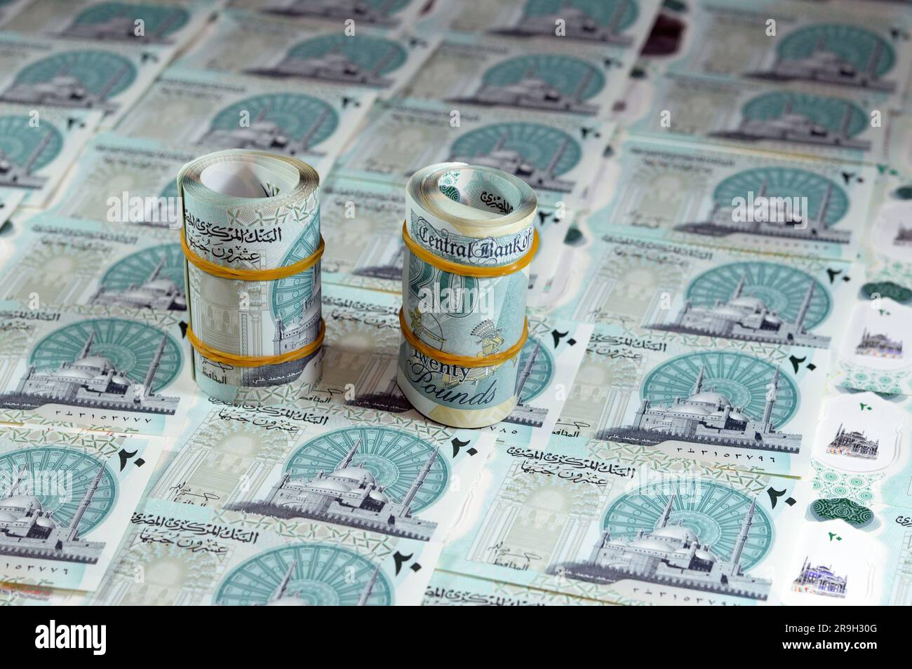 new Egyptian 20 EGP LE twenty polymer pounds cash money banknote bill ...