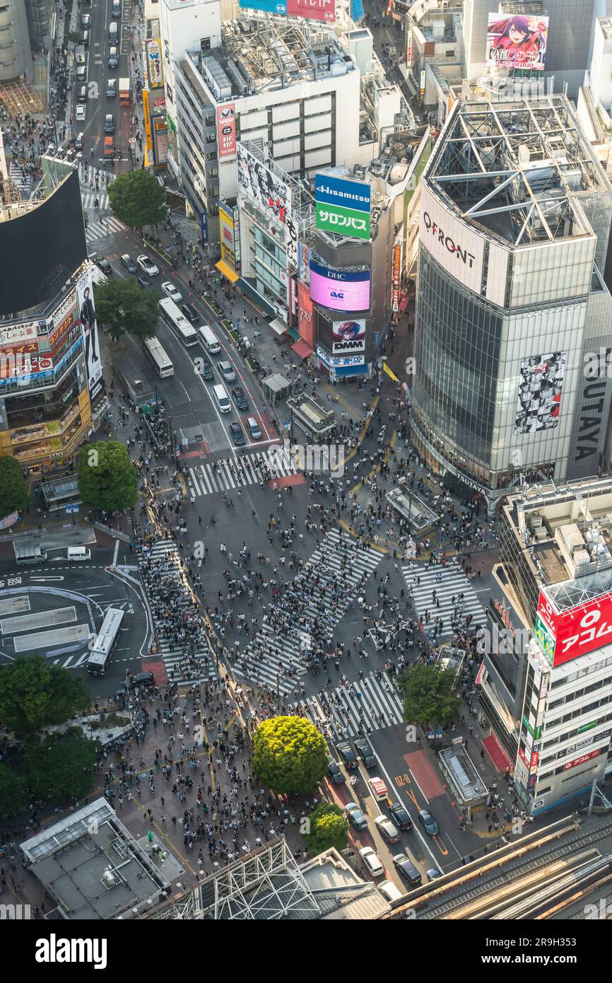 Aerial view crossing famous shibuya hi-res stock photography and images - Alamy