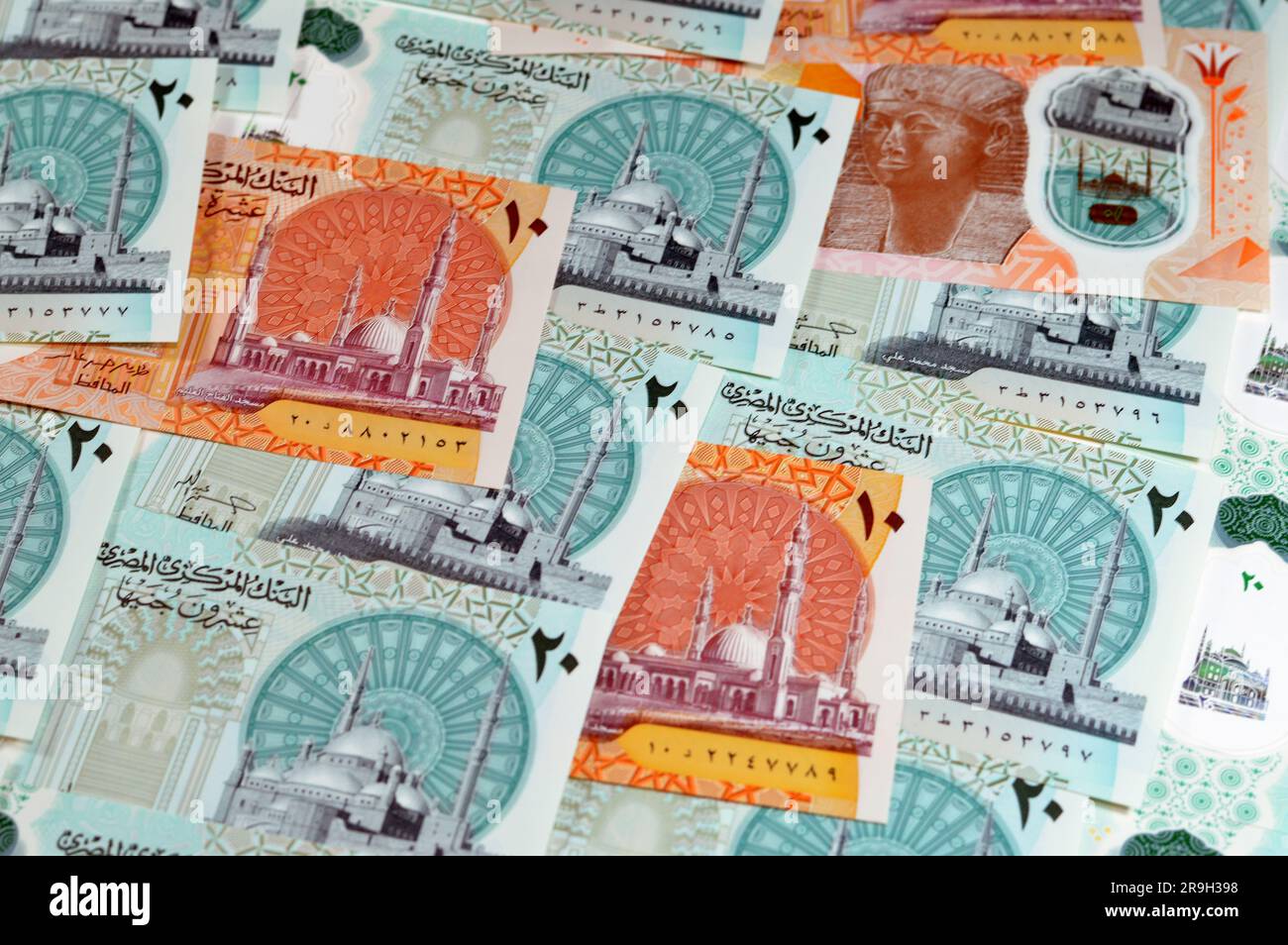 Egyptian new polymer money banknotes cash money bills background of ...