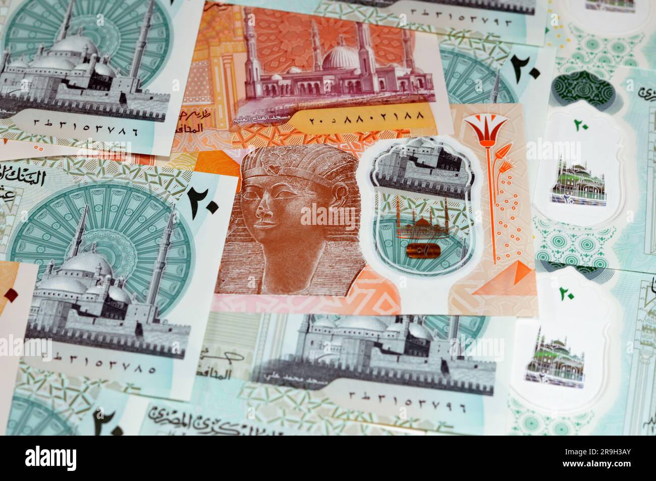 Egyptian new polymer money banknotes cash money bills background of ...