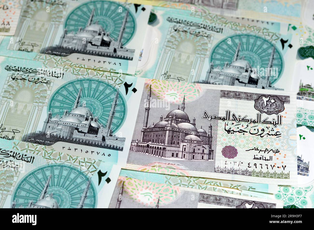 old 20 LE VS new Egyptian 20 EGP LE twenty polymer pounds cash money ...
