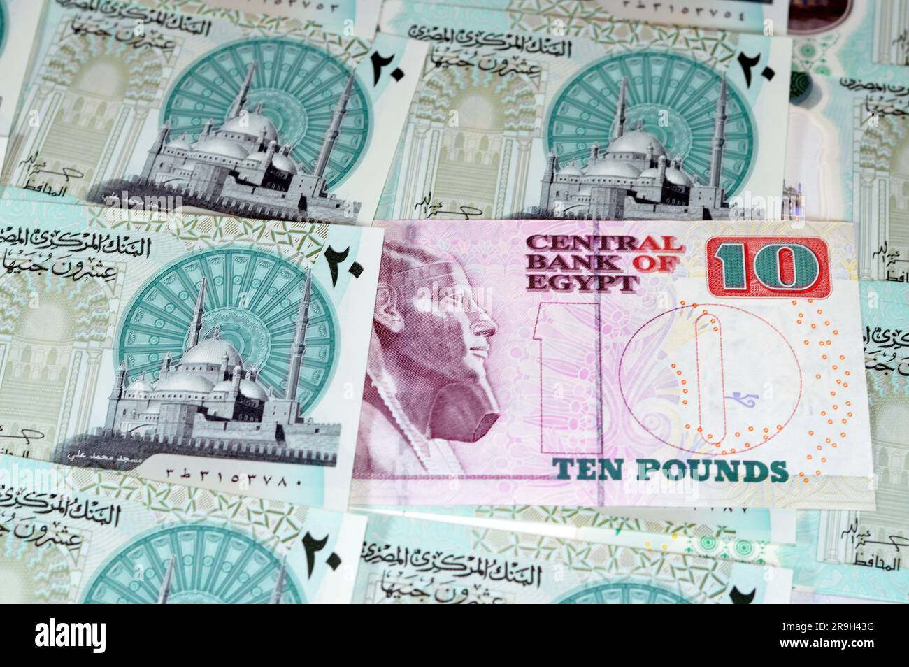 Egyptian new polymer money banknotes cash money bills background of ...