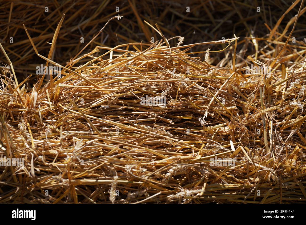 Old winnowing machine hi-res stock photography and images - Alamy