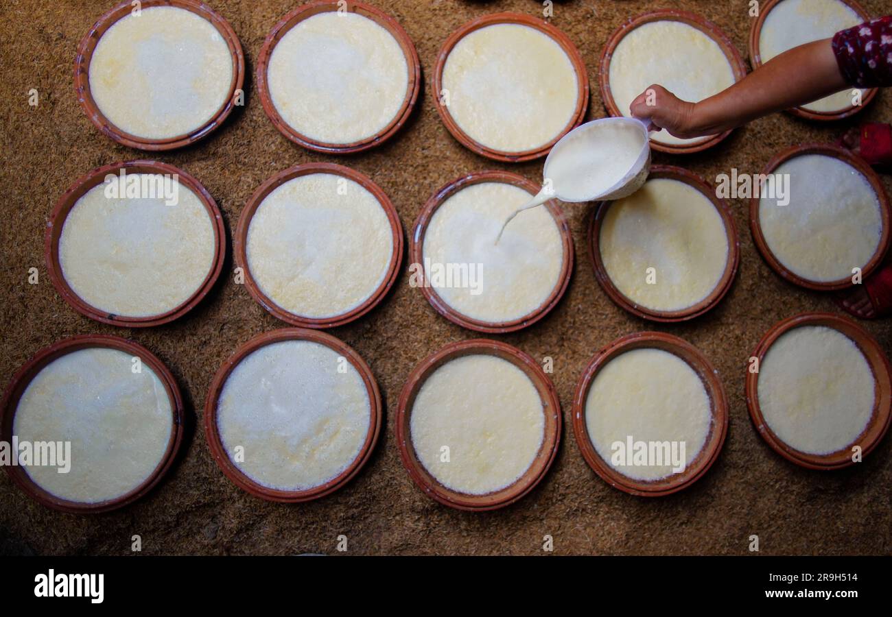 Bhaktapur, Nepal. 27th June, 2023. A woman pours hot boiled milk into ...