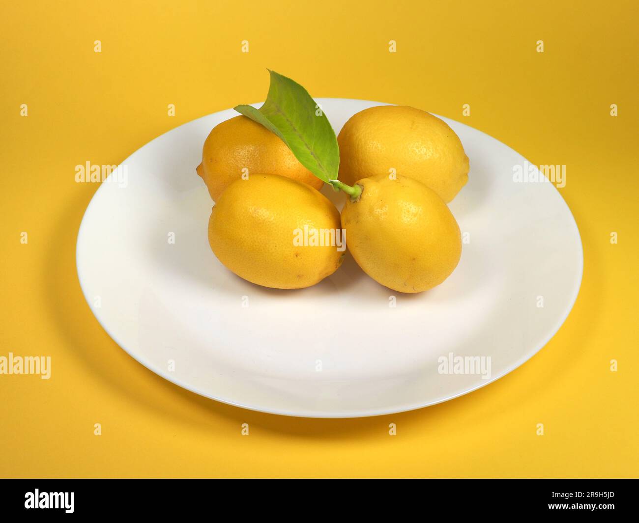 four lemons in a dish over yellow background with copy space Stock ...