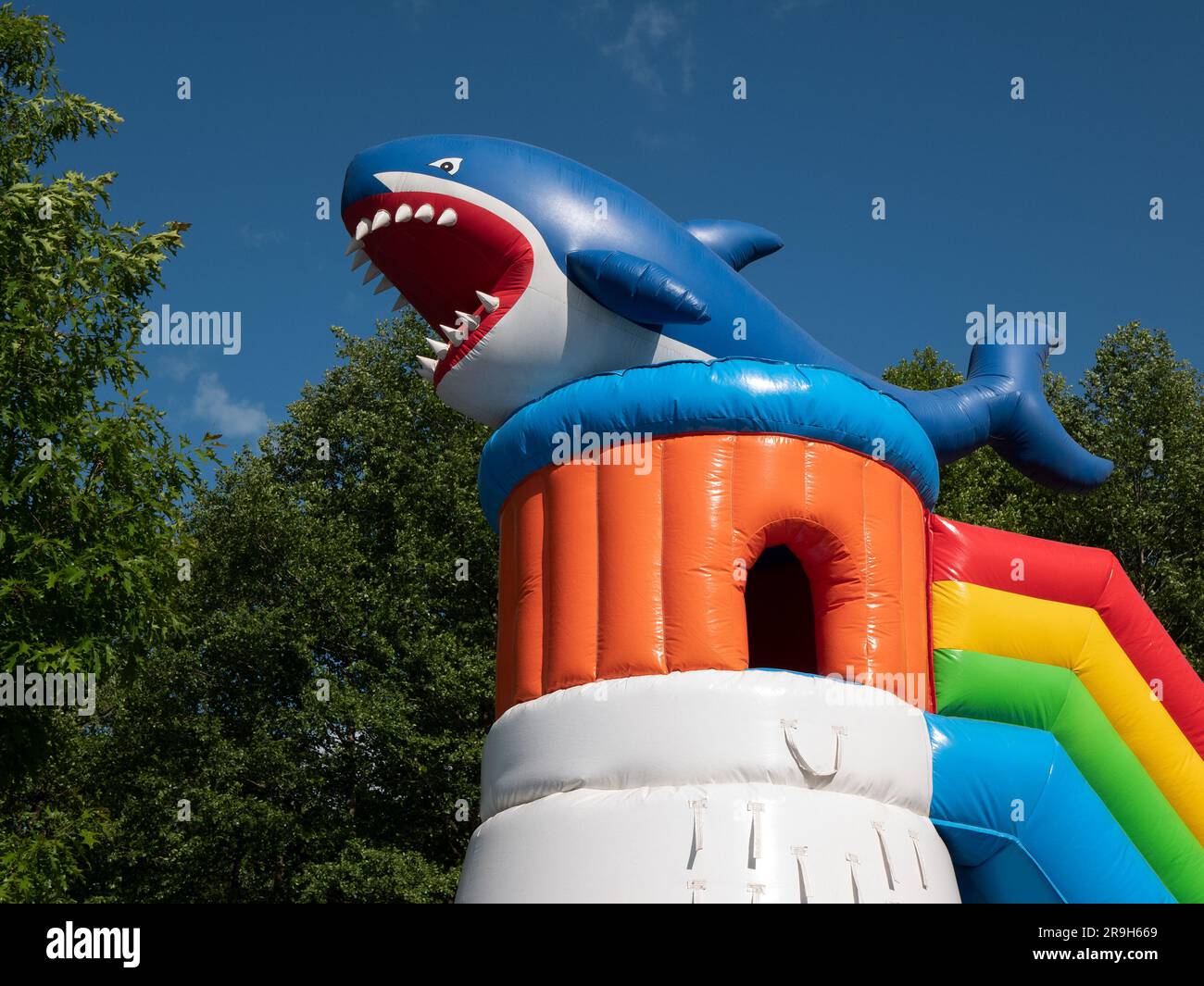 Blue inflatable shark, bottom view and selective focus. Concept of ...