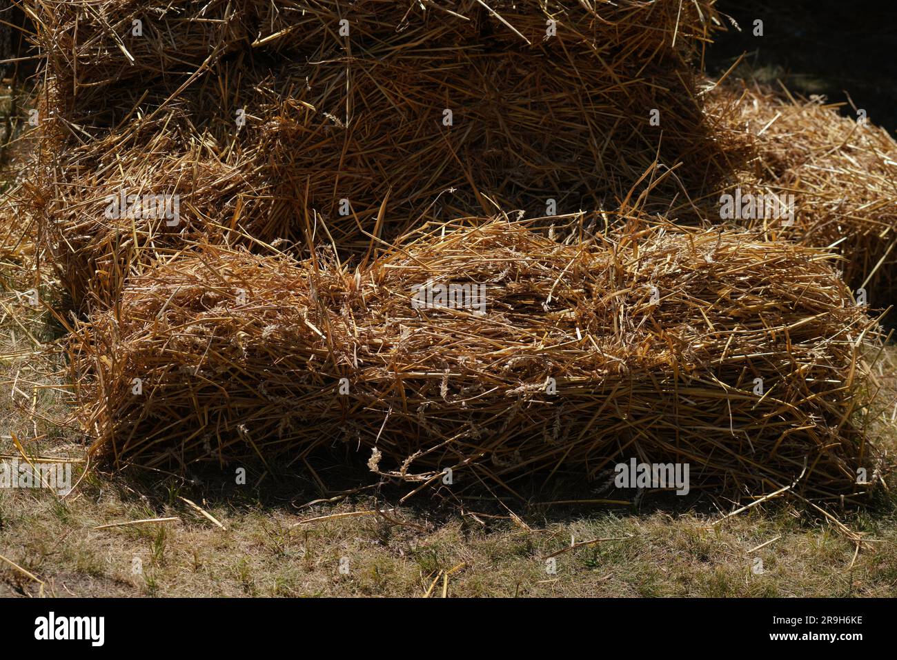 Old winnowing machine hi-res stock photography and images - Alamy