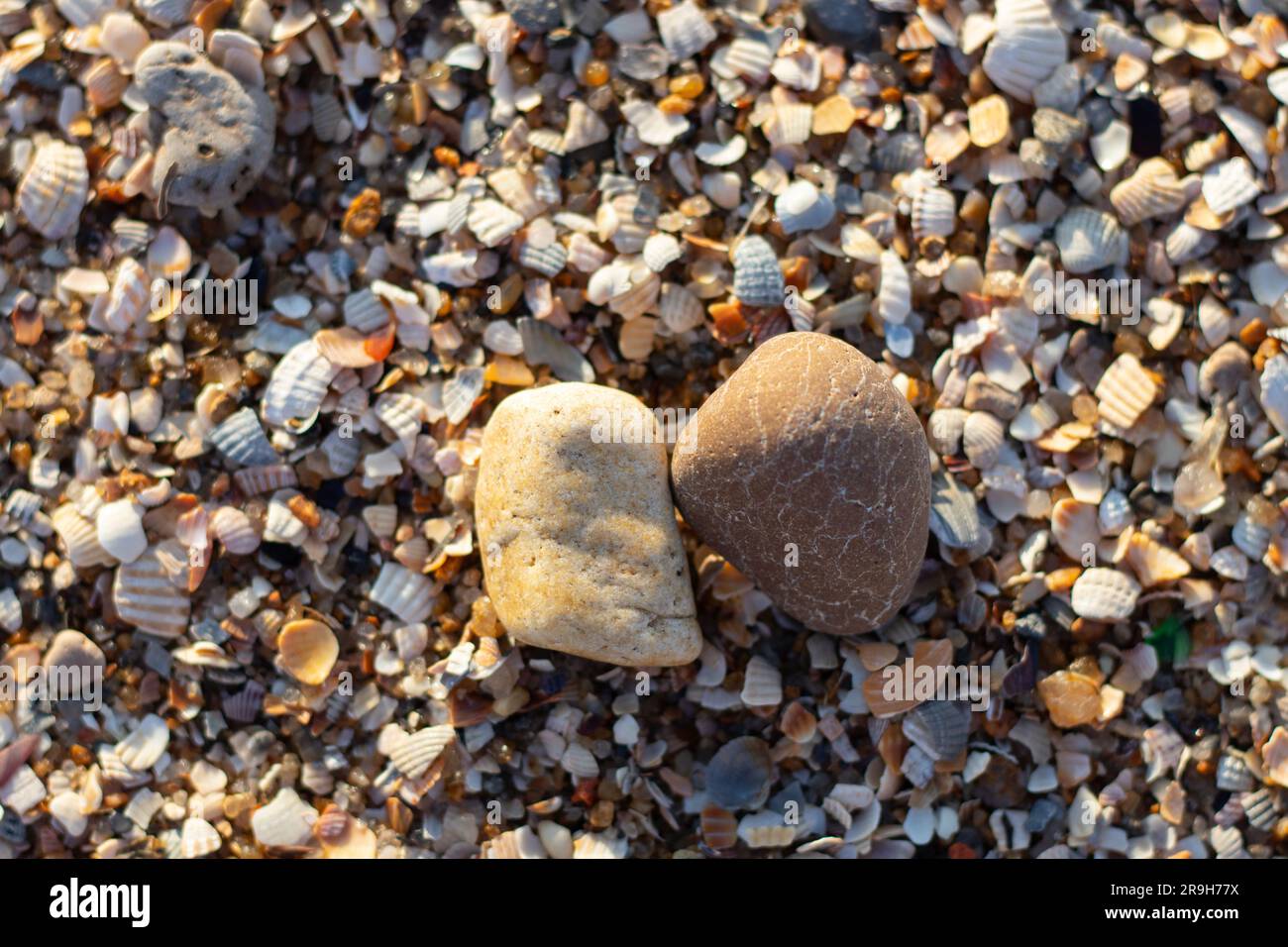 shells and pebbles as background Stock Photo - Alamy