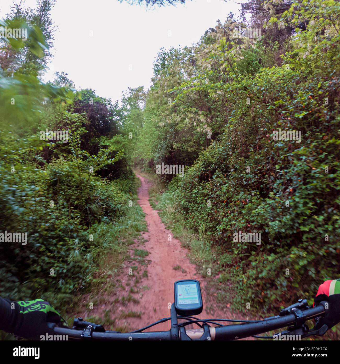 Riding a mountain bike from rider point of view on the handlebar on a ...