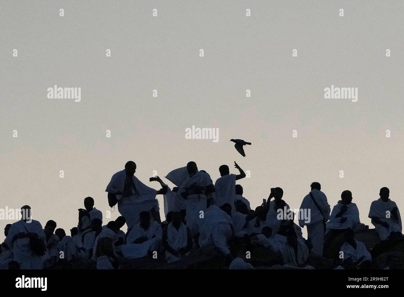 A pigeon flys over Muslim pilgrims on the rocky hill known as the ...